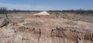 Horsehead Crossing - Lucy Fagan | Author